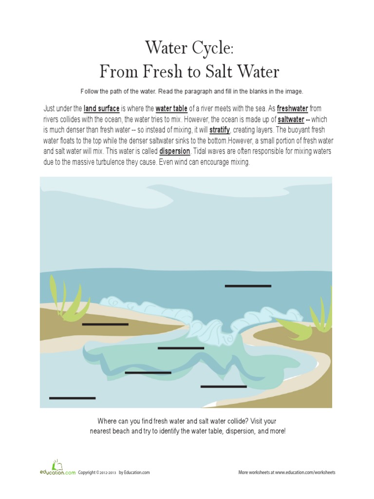 Fresh Water and Salt Water | PDF | Art | Science & Mathematics
