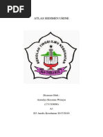 Kristal Amorf dalam Urine dan Karakteristiknya | PDF