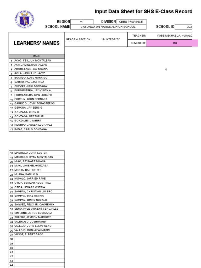 Learners' Names: Input Data Sheet For SHS E-Class Record | PDF | Seville