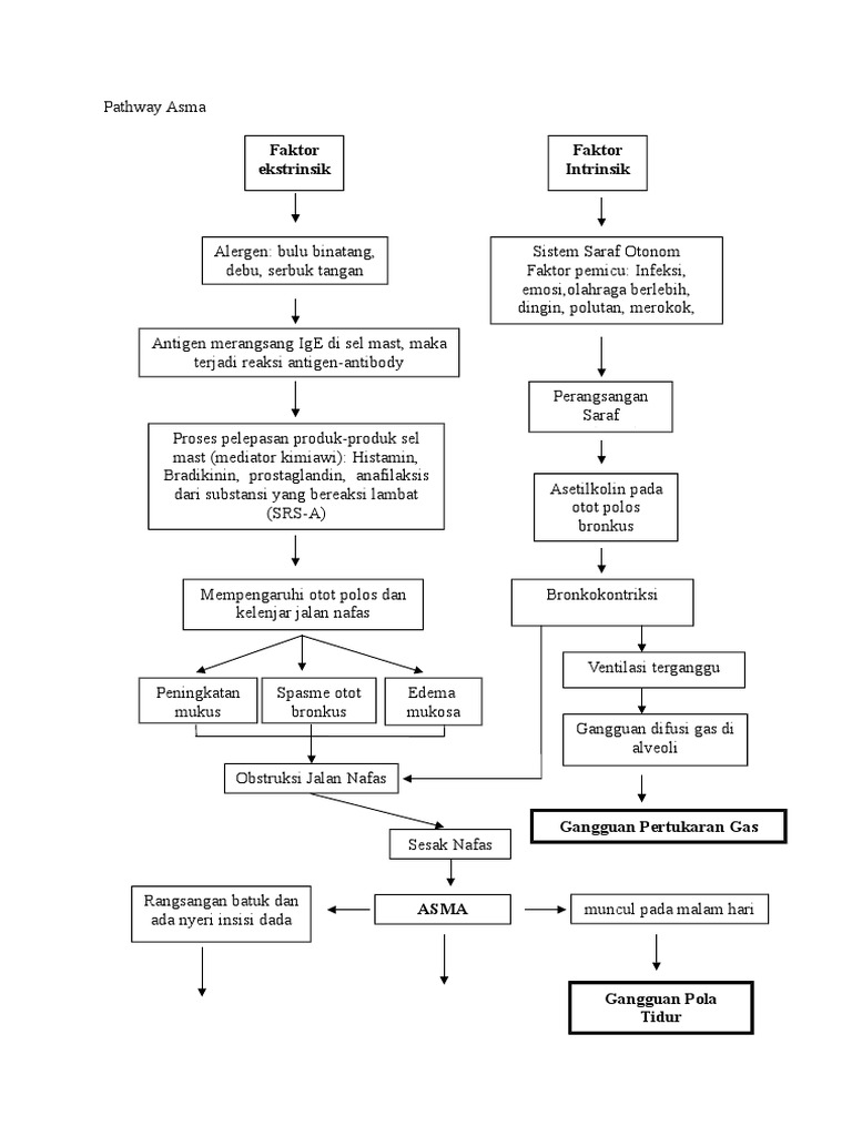 Pathway Patofisiologi Asma Bronkial | PDF