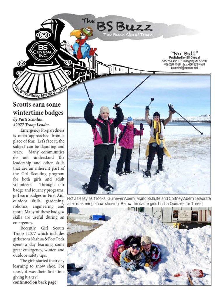 BS Buzz | PDF | Beef | Steak