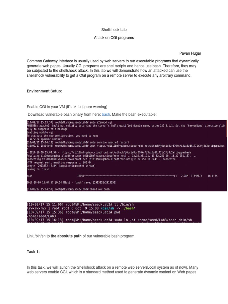 Shellshock Lab | Download Free PDF | Software Development | Information ... Shellshock Lab | Download Free PDF | Software Development | Information ...