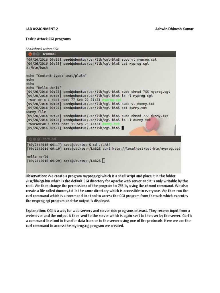 Shellshock Lab Assignment | PDF | Shell (Computing) | Subroutine