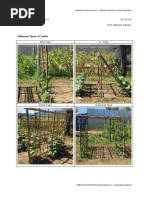 Crop Protection (Principles of Crop Protection) Lecture Manual | PDF ...