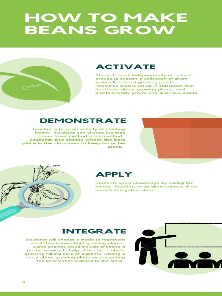 How To Make Beans Grow | PDF | Teaching | Pedagogy