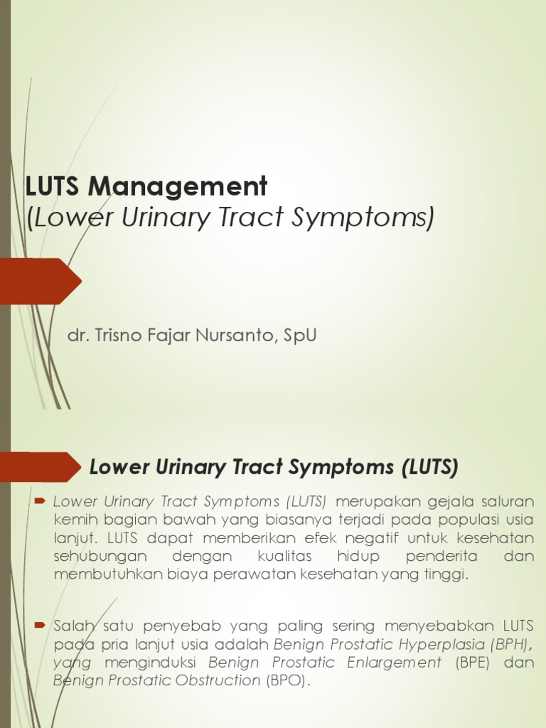 LUTS Management 2 Maret 2019 PDF | PDF