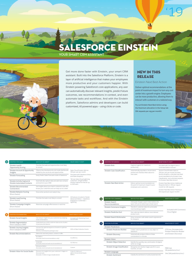 EINSTEIN AI - Spring Cheat Sheet | PDF | Salesforce.Com | Analytics