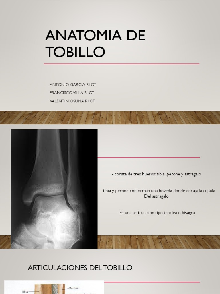 Anatomia Tobillo | PDF | Tobillo | Pie