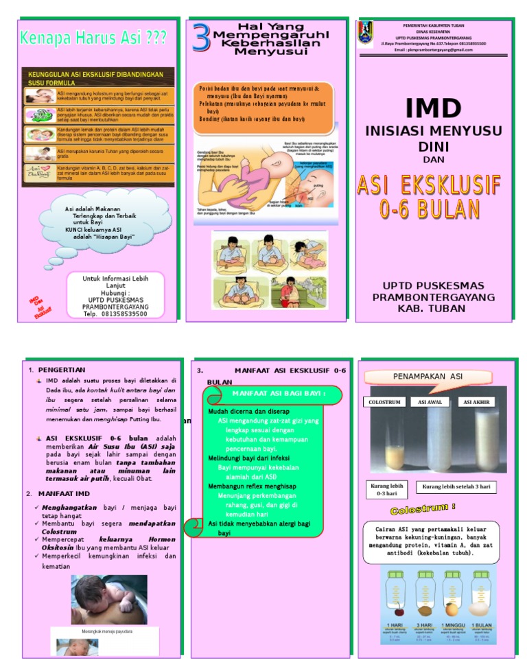 Leaflet IMD Dan Asi Eksklusif (2534) 2 | PDF