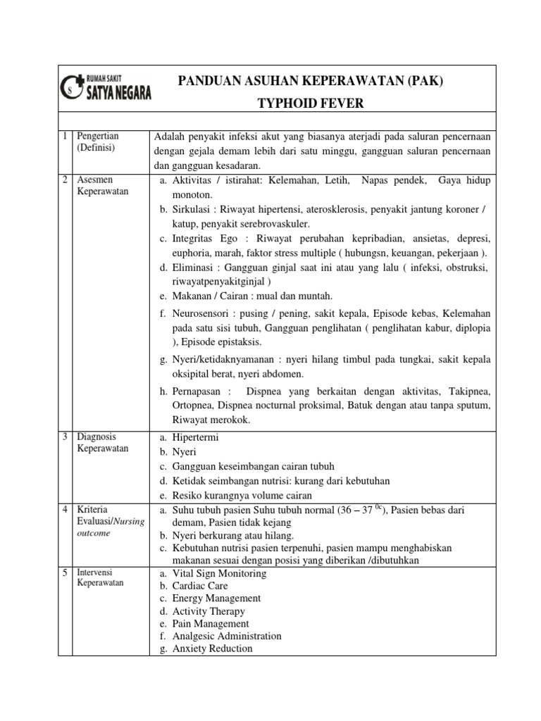Format Panduan Asuhan Keperawatan | PDF