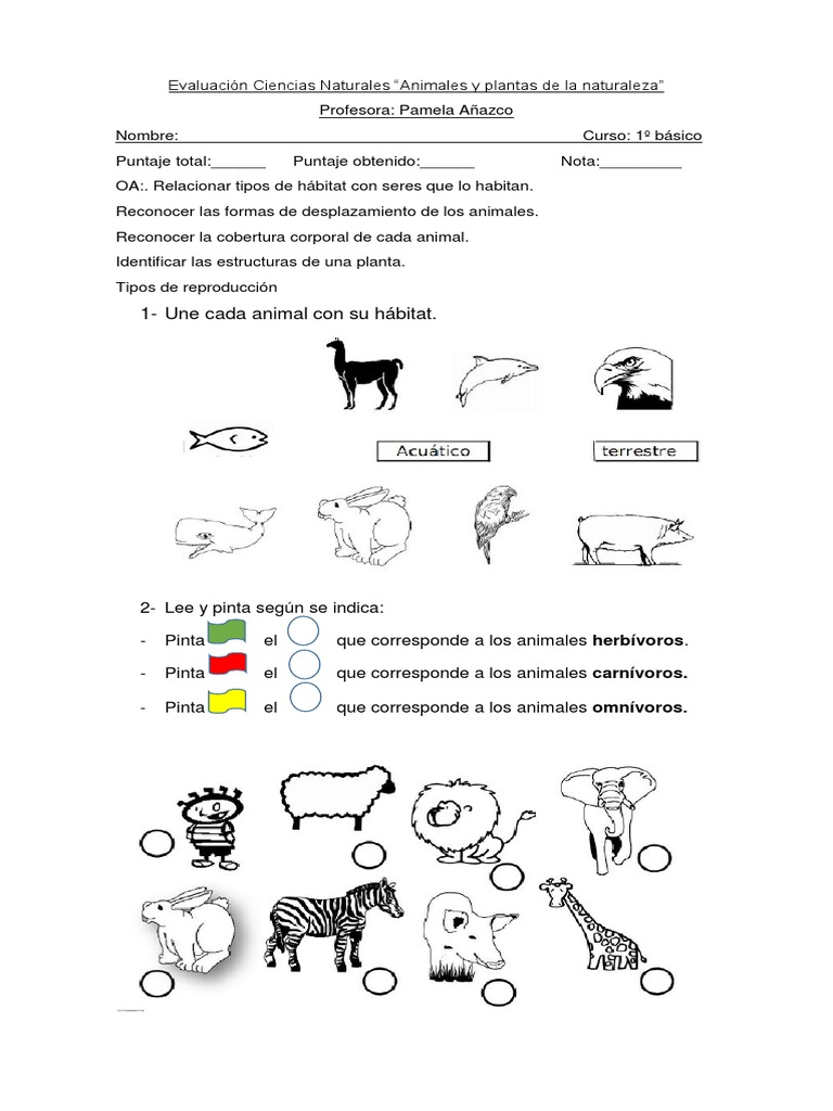 Evaluación de Animales y Plantas 1º Básico | PDF | Organismos | Naturaleza