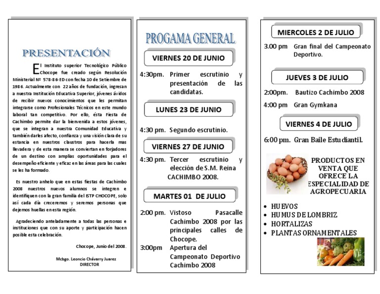 Triptico Programa Cachimbo Iste CH | PDF