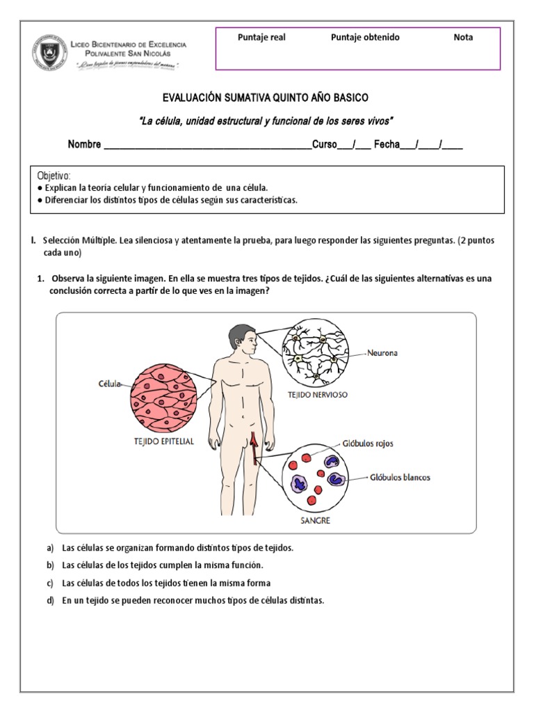 Nivel de Organizacion Celular Imprimir | Descargar gratis PDF ...