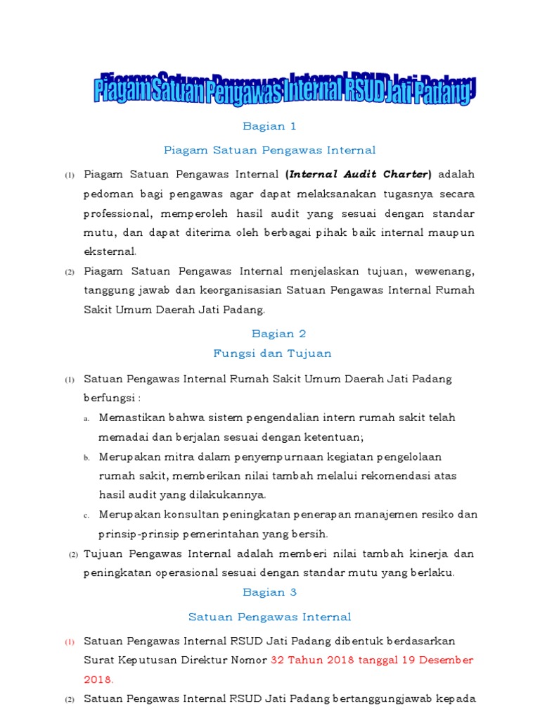 Audit Charter - RSUD XX | PDF