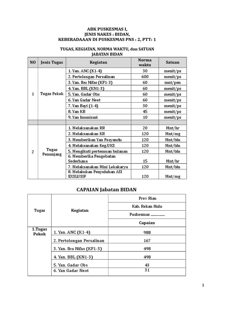 Contoh ABK Puskesmas - Perawat Dan Bidan | PDF