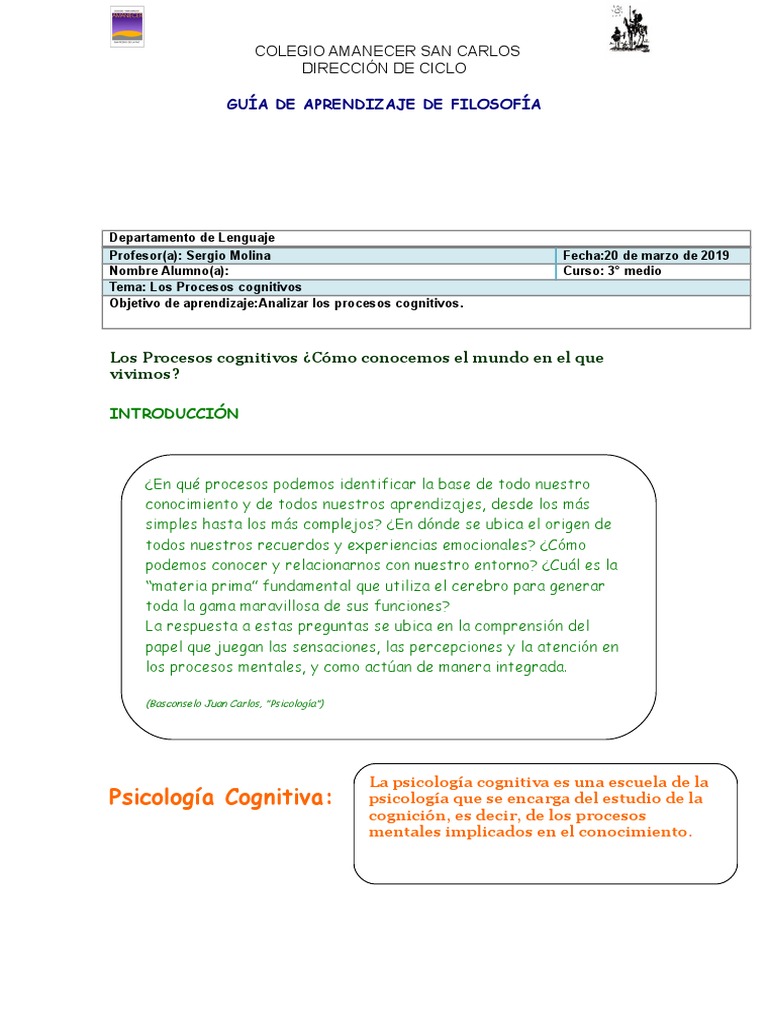Los Procesos Cognitivos Percpecion Pdf Percepción Psicología