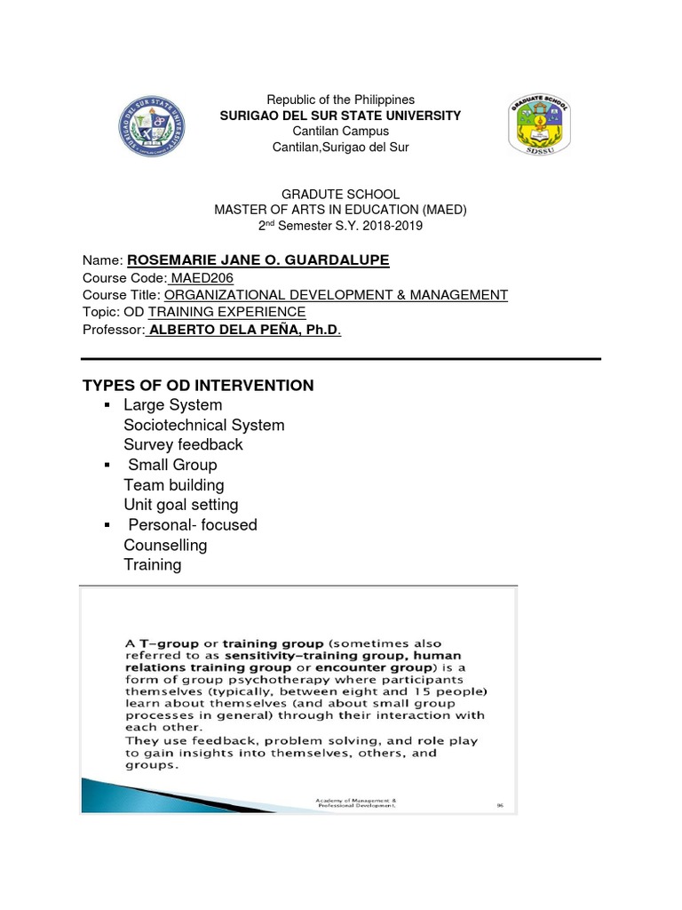 Rosemarie Jane O. Guardalupe: Types of Od Intervention | PDF