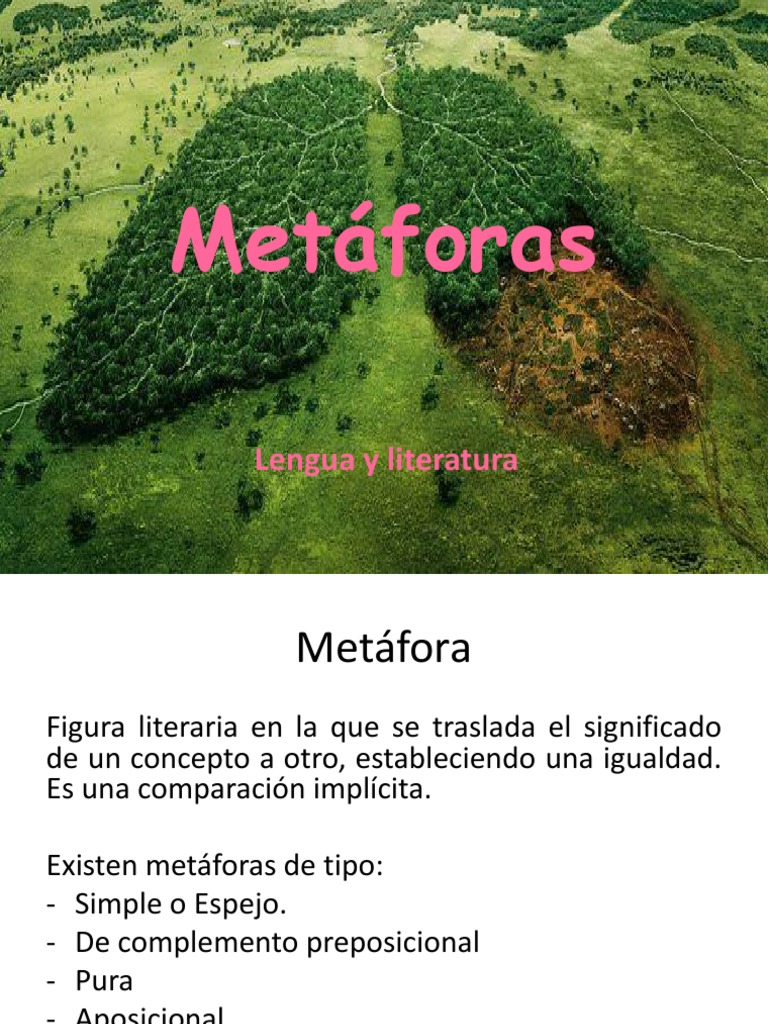 Tipos de Metafora | PDF