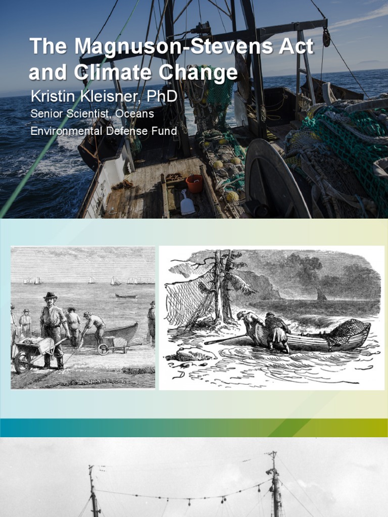 Understanding The Magnuson-Stevens Act | PDF | Overfishing | Fisheries ...