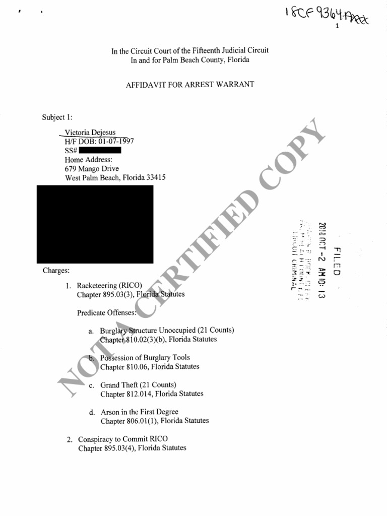 Deztanie and Victoria Dejesus Affidavit | PDF Deztanie and Victoria Dejesus Affidavit | PDF