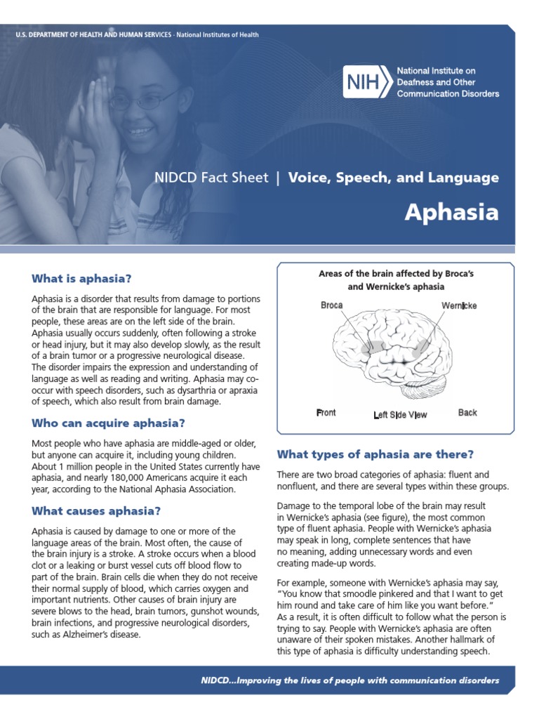 Aphasia: NIDCD Fact Sheet - Voice, Speech, and Language | PDF | Aphasia ...