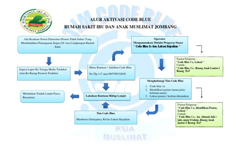 ALUR AKTIVASI CODE BLUE Rev 18a | PDF