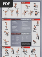 Perfect Pushup Workouts PDF | PDF