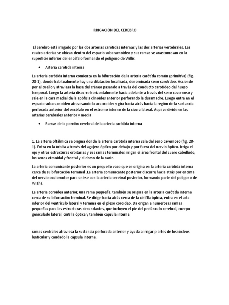 Irrigación Del Cerebro | PDF | Cerebro | Anatomía humana