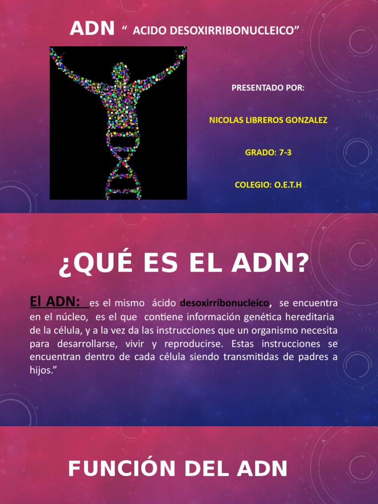 El fascinante mundo del ADN: estructura, función y tipos de este importante ácido nucleico | PDF ...