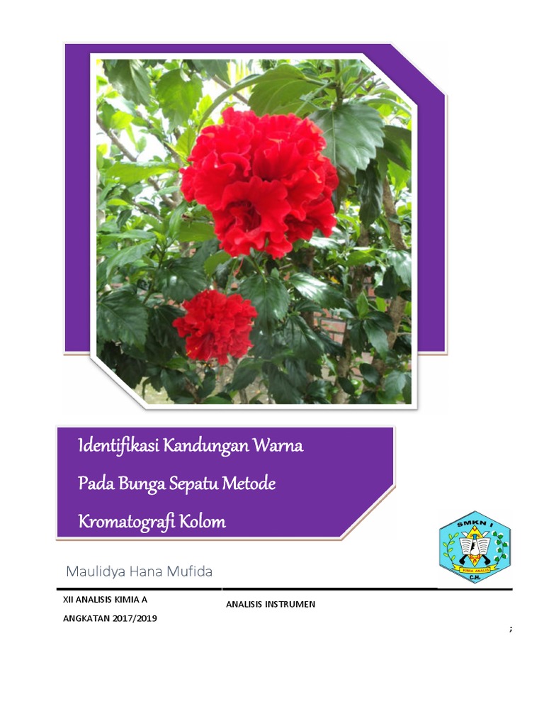 Laporan Kromatografi Kolom Bunga Sepatu | PDF
