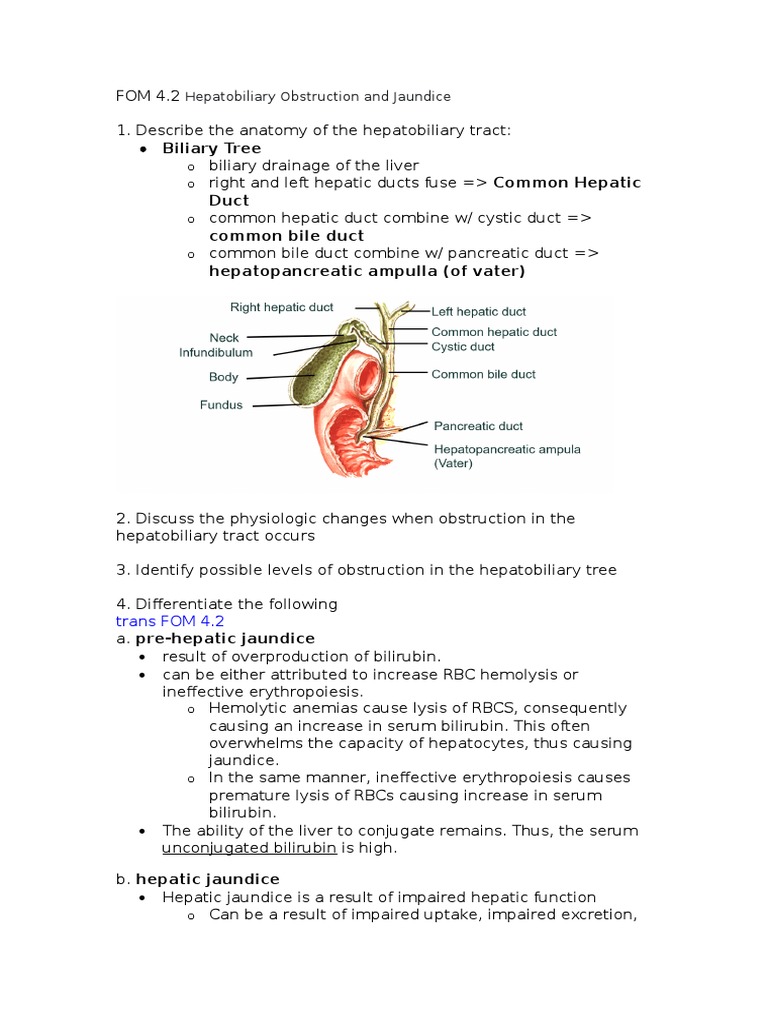 Hepatobiliary Obstruction and Jaundice | PDF | Bile | Gallbladder