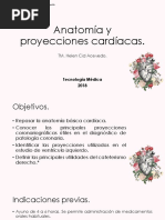 Protocolo de Abdomen (RX) | PDF | Abdomen | Medicina CLINICA