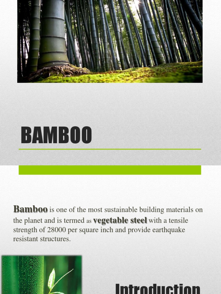 Sustainable Bamboo: Benefits & Uses | PDF | Bamboo | Scaffolding