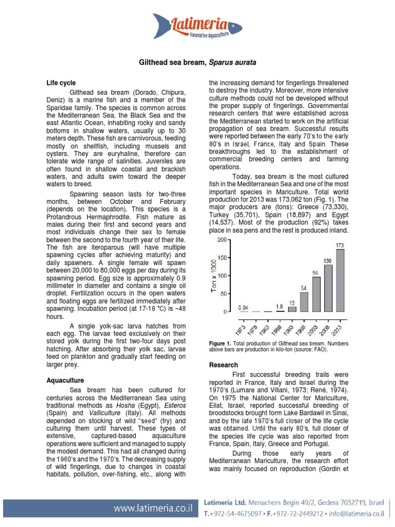 Gilthead Sea Bream, Sparus Aurata: Life Cycle | PDF | Spawn (Biology) | Sea