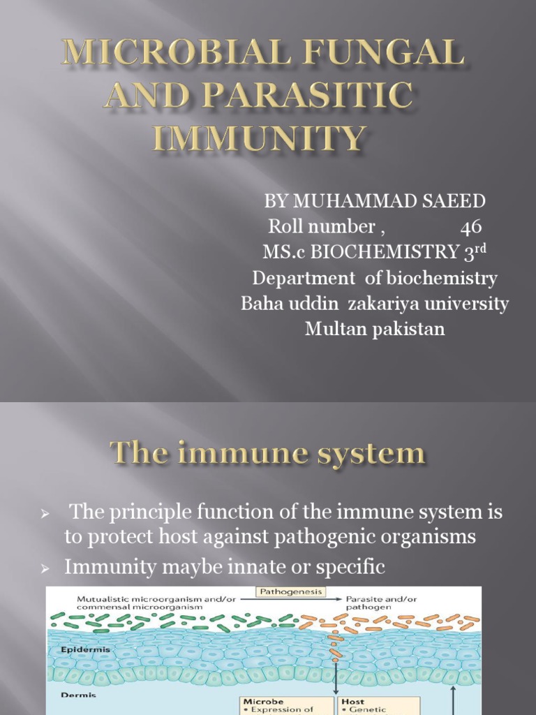 Microbial Fungal and Parasitic Immunity | PDF | T Helper Cell | Immune ...