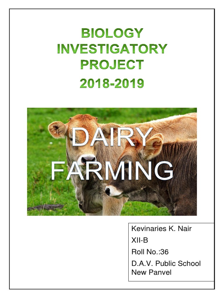 Dairy Farming Project Report | PDF | Dairy Cattle | Calf