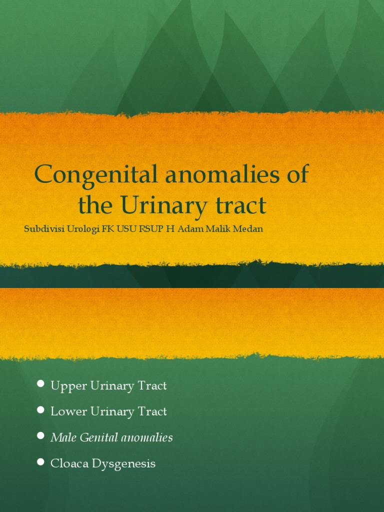 K25 - A - Congenital Anomalies of The Urinary Tract | PDF ...