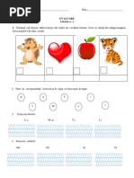 CLR Evaluare Sumativa Modulul I | PDF