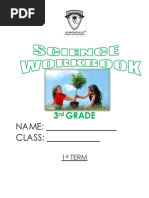 Science Interactive Notebook | PDF