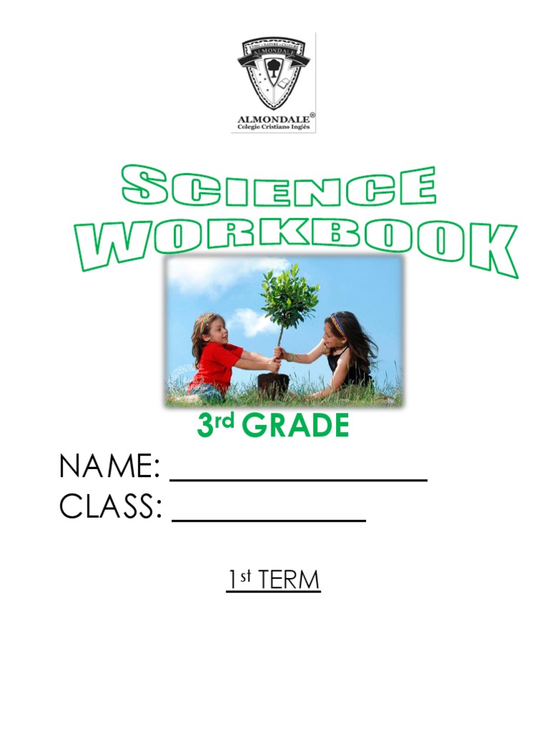 NAME: - CLASS: - : 3 Grade | PDF | Petal | Flowers