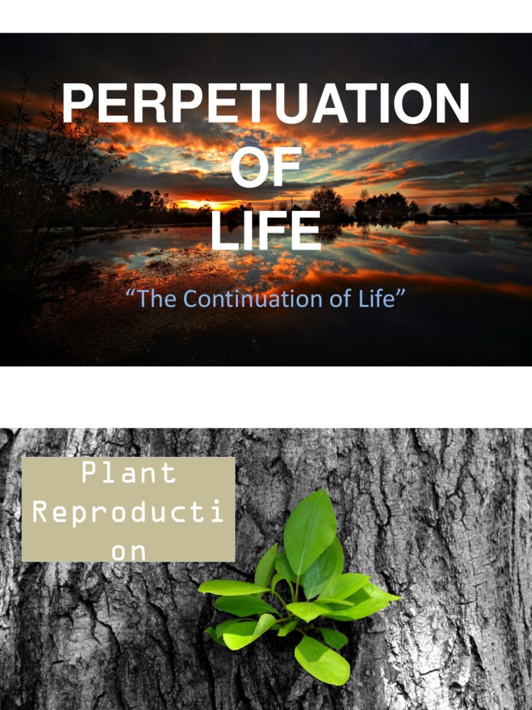 1.0 Perpetuation of Life | Plant Reproduction | Reproduction