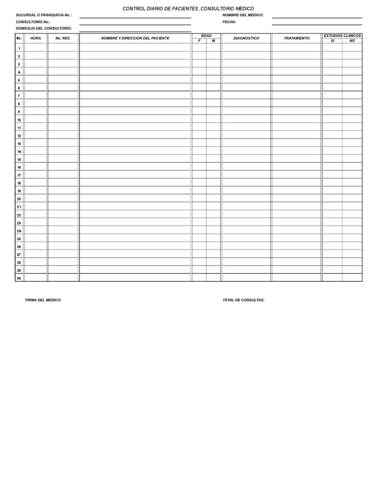 Hoja Diaria de Control de Pacientes | PDF