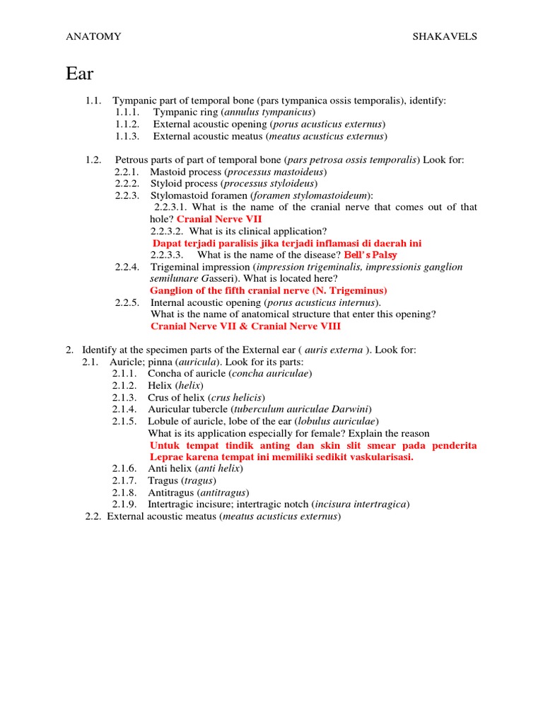 Semilunare Gasseri) - What Is Located Here? 2.2.5. Internal Acoustic ...