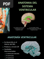 Anatomia de La Region Selar | PDF | Glándula pituitaria | Hipotálamo