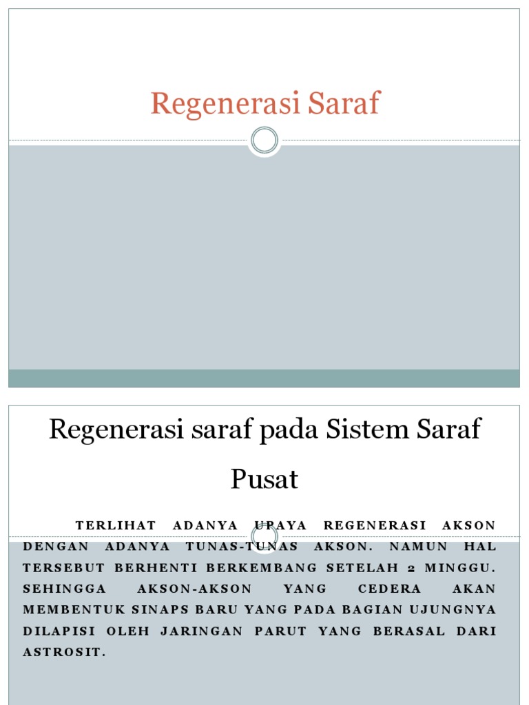 Regenerasi Saraf Sistem Saraf Pusat dan Perifer | PDF