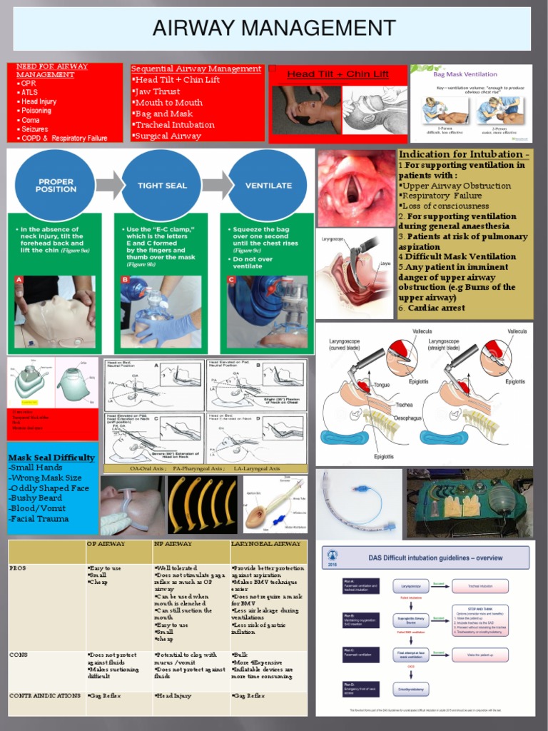 A Comprehensive Guide to Airway Management Techniques and Indications ...