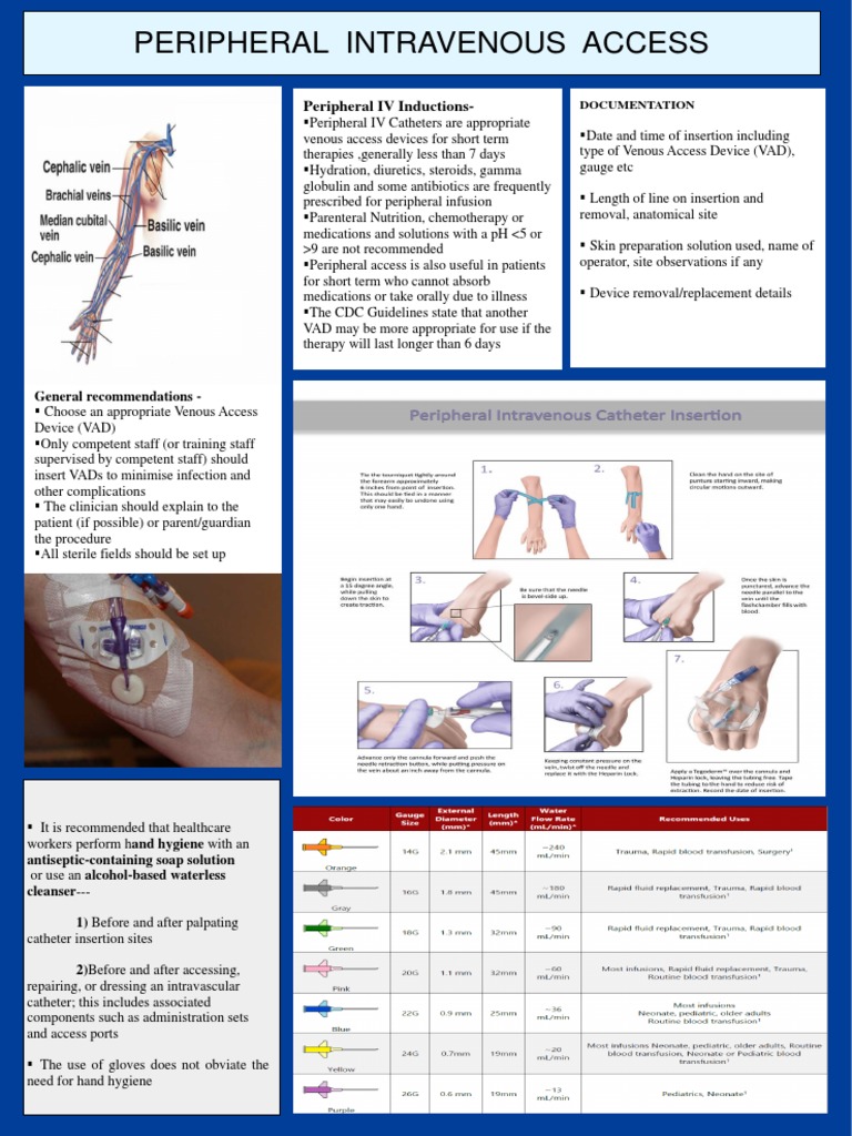 Peripheral Intravenous Access Poster | PDF | Intravenous Therapy ...