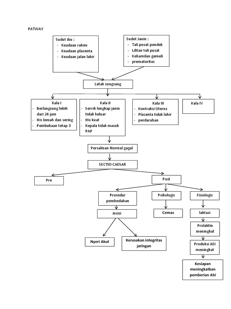 PATWAY Letak Sungsang SC | PDF