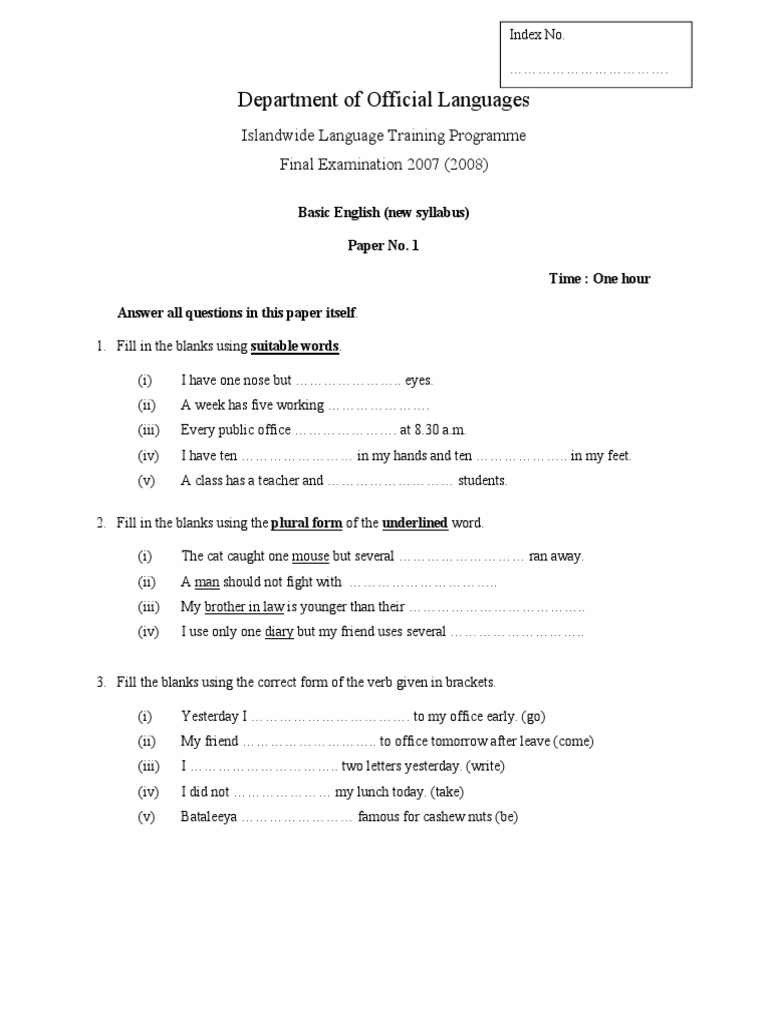 Basic English Paper 1 | PDF