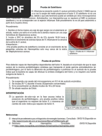 Medio Sim | PDF